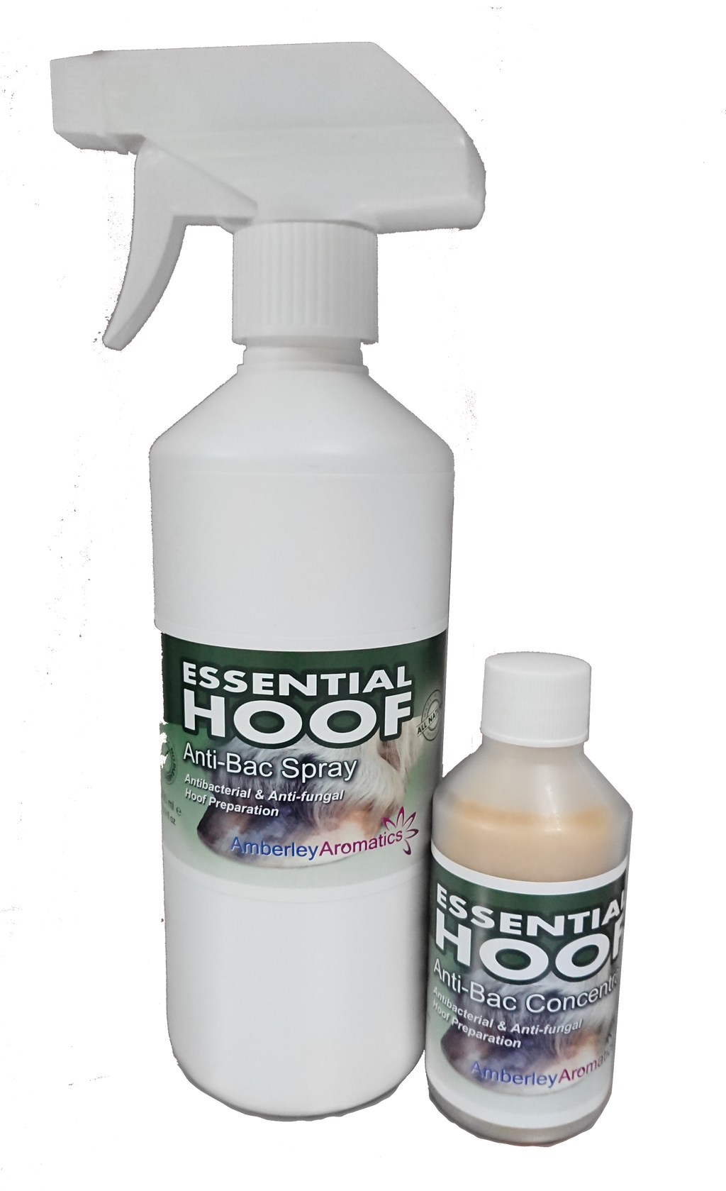 Essential Hoof Anti-Bac Spray 500ml & Concentrate 100ml Combo ...